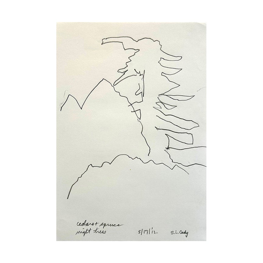 Sam Cady - Cedars + Spruce • Night Trees | Ocean House Gallery & Frame